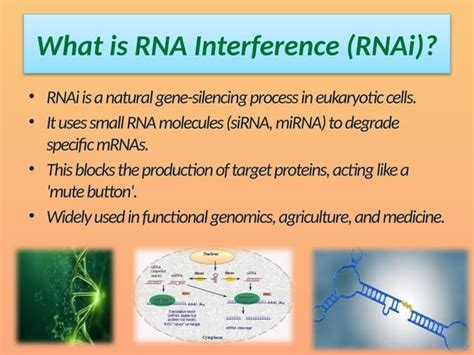 Ppt Rna New Environmental Application 111 1pptx