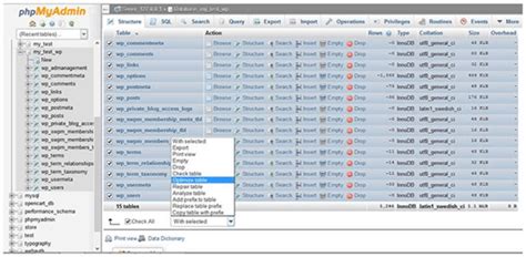 Cómo La Base De Datos Puede Estar Mejor Para Wordpress