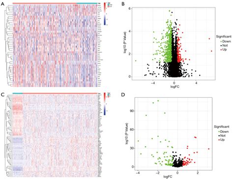 Correlation Analysis Of Tumor Mutation Burden Of Hepatocellular