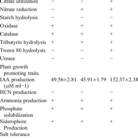 Pdf Isolation Of Acc Deaminase Producing Pgpr From Rice Rhizosphere