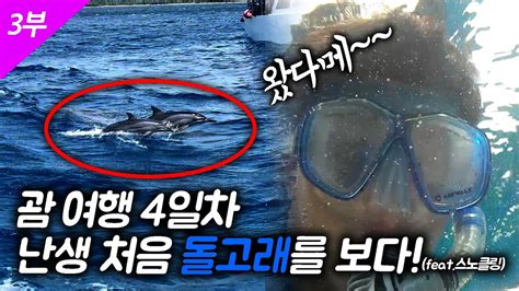 Vlog 괌 여행 4일차 브이로그난생 처음 돌고래를 보았다돌핀 크루즈 3부 Youtube
