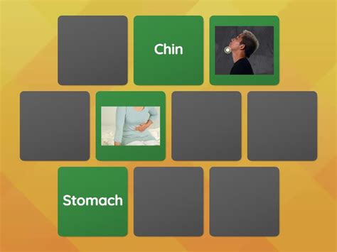 Lesson Memory Game Matching Pairs Lesson Memory Game Matching Pairs