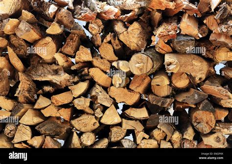 Forestry Industry Tree Felling And Timber Logging Stock Photo Alamy