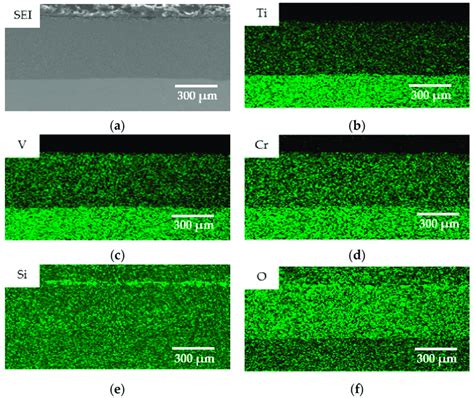 Sem Morphology And Eds Mapping Of The Oxide Layer In Tf550 Alloy After