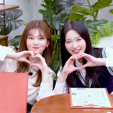 𝐁𝐢𝐧𝐟𝐚𝐢𝐫𝐲 ♥︎