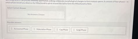 [solved] Which Phase Would You Observe The Mitochondria Spi