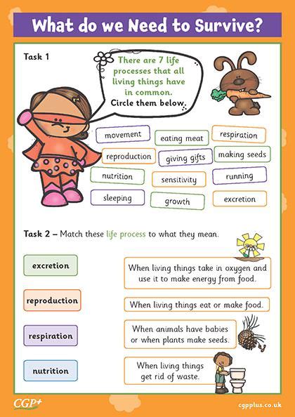 Free Life Processes Worksheet Download Free Life Processes Worksheet