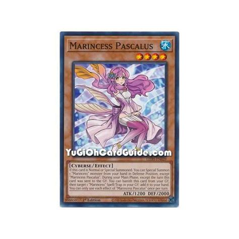 Marincess Pascalus Common