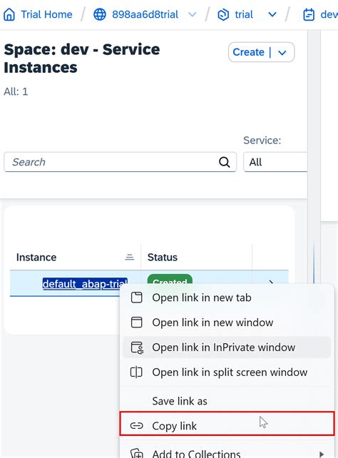 Create An Sap Btp Abap Environment Trial User Sap Tutorials