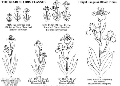 Iris Care Instructions