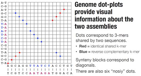 10genome Assembly Bch709 Introduction To Bioinformatics