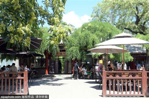 相约北海公园，不出远门也有好风光