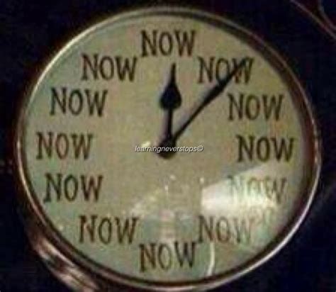 Positive Procrastination Understanding And Embracing Diversity