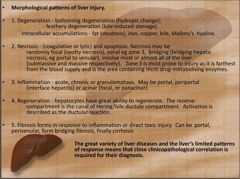 Liver And Its Diseases Pdf