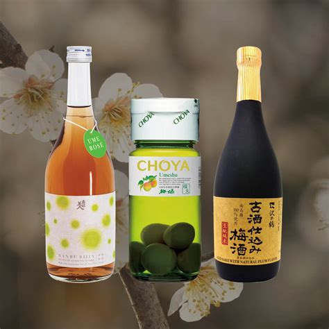 Plum Sake Set Tippsy Sake