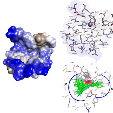 Scheme 2 Tautomeric Structures Of Diethyl Download Scientific Diagram