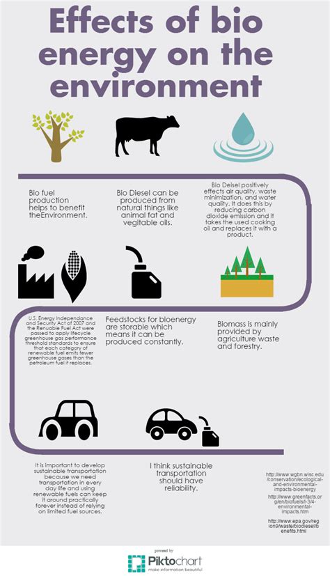 Bioenergizeme Infographic Challenge Effects Of Bioenergy On The