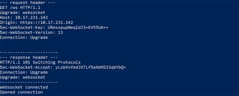 Test Reader Connection To Websocket Endpoint — Zebra Iot Connector Documentation