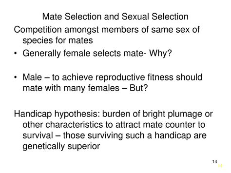 Social Relations Ppt Download