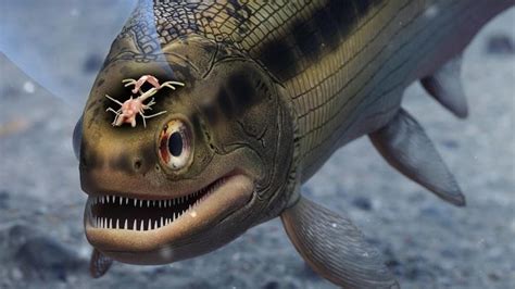 Prehistoric Fish Found