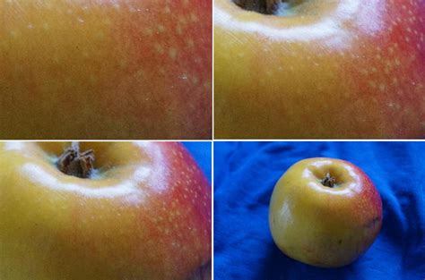 Ratebilder Vom Kleinen Bildausschnitt Bis Zum Ganzen Gegenstand