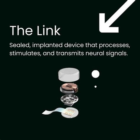 That Is The Goal Elon Musks Neuralink Is Implanted In First Ever Human Bored Panda