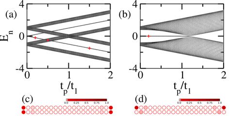 The Single Particle Energy Spectrum Of A System Of 40 Sitesl 20