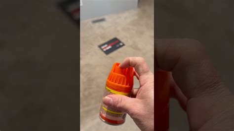 Cockroach Bombs A Step By Step Guide To Exterminate Roaches