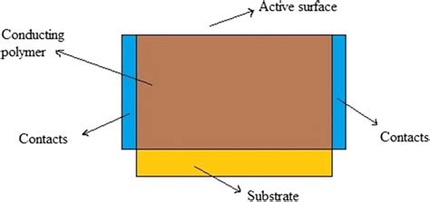 Schematic Representation Of The Conducting Polymer Structure Download