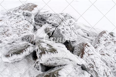 Frozen Rocks Photos By Canva