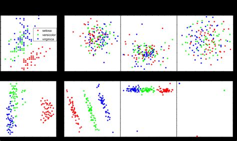 iris data set [62 56] with additional 1000 gaussian noise variables