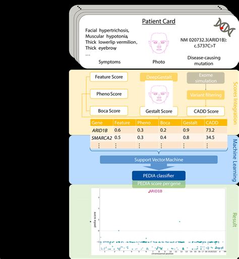 Prioritization Of Exome Data By Image Analysis A Clinical Features Download Scientific