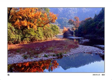 陈维 摄影作品：秋