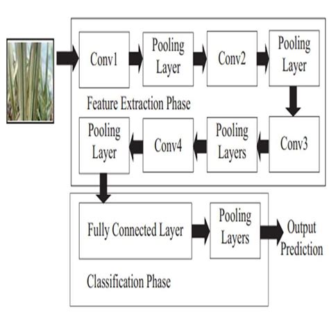 disease prediction using cnn architecture download scientific diagram