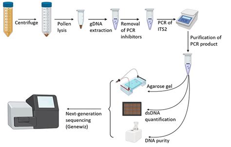 Dna Assays For Determining Honey Origins Borders Trade And Immigration Institute