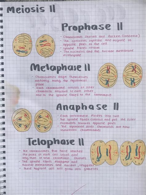 Discover 15 Biology Notes Class 9th And Biology Notes Ideas Biology