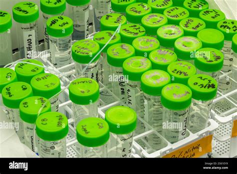 Test Tube Vials Detail In Lab Science Testing Laboratory New Jersey