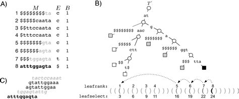 Figure 1 From Simulating The Dna String Graph In Succinct Space