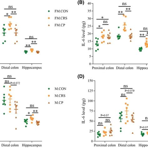 Transmission Electron Microscopy Imaging Of Colonic Mucosal Epithelial