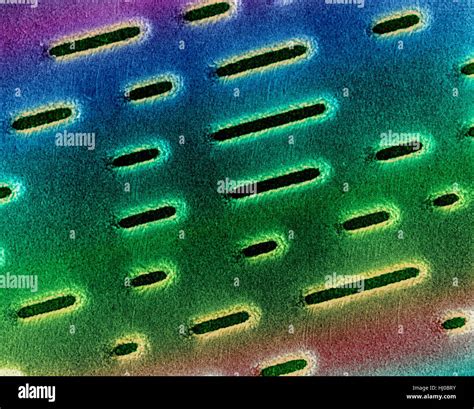 Coloured Scanning Electron Micrograph Sem Of Compact Disc Surface Cd Cd Rom A Cd Is A