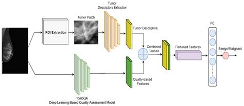 Make Free Full Text Classifying Breast Tumors In Digital