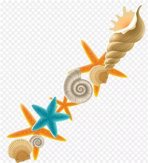 卡通海螺海星png图片素材下载图片编号7527394 Png素材网