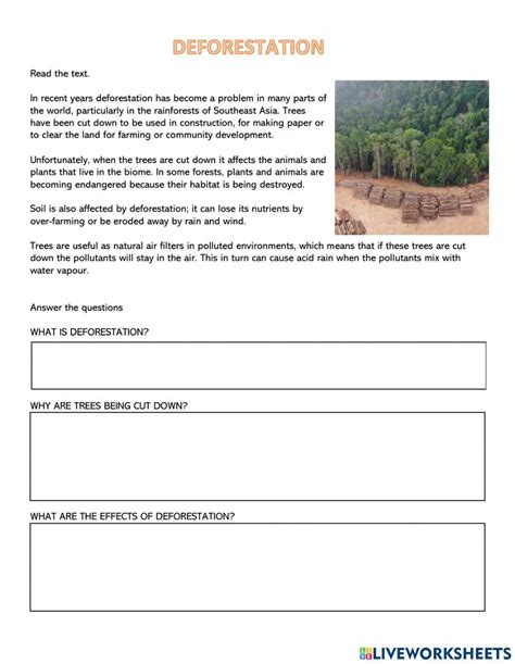 Deforestation Online Exercise For Live Worksheets