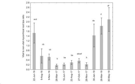 Ratio Of Vital To Non Vital Ecm Root Tips Of Q Pubescens In