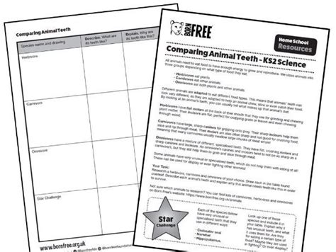 Ks2 Home School Resources Science Teaching Resources