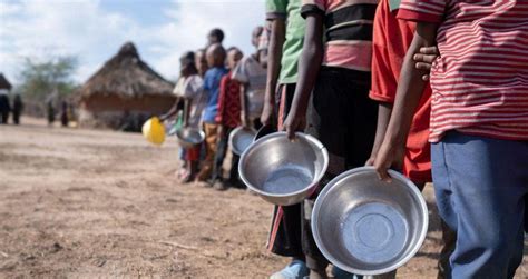 Casi El 30 De La Población Mundial Sufre Inseguridad Alimentaria
