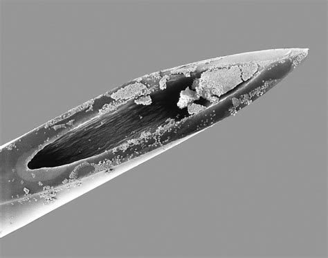 Hypodermic Needle Under Microscope At Marcus Hanger Blog
