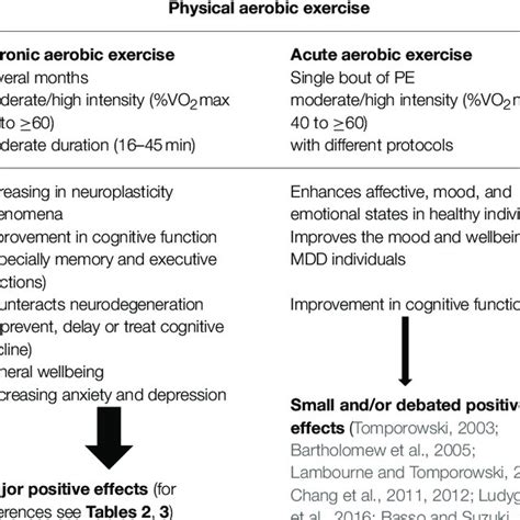 Pdf Effects Of Physical Exercise On Cognitive Functioning And Wellbeing Biological And