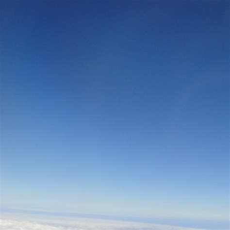 Sofia Verissimo Professor Instituto Politécnico De Portalegre Portalegre Health Sciences