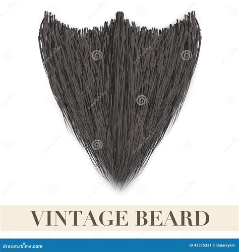 Realistic Black Beard Vector Illustration Stock Vector Illustration